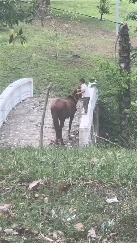 Mythic Reel 💀😭 Full Name Cristiano Ronaldo Dos Santos Aveiro Date Of