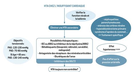 Algorithme De Prise En Charge De Lhta Chez Le Patient Insuffisant
