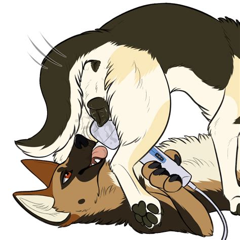 Rule 34 11 Animal Anus Animal Genitalia Animal Pussy Anus Black Anus