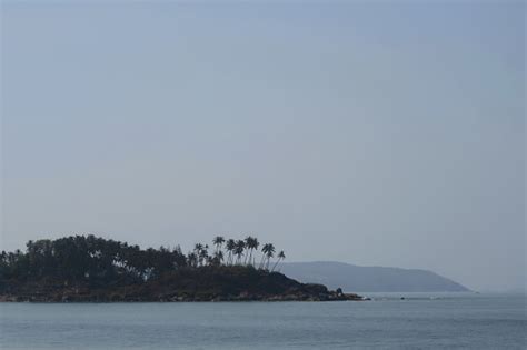 부드러운 황금 빛 모래 따뜻한 청록색 푸른 바다 파도 부드럽게 랩핑 해안 먼 섬과 키가 큰 코코넛 야자수와 해안선보기 팔로렘 비치 고아 인도에서 푸른 하늘 벽지 배경과 해외