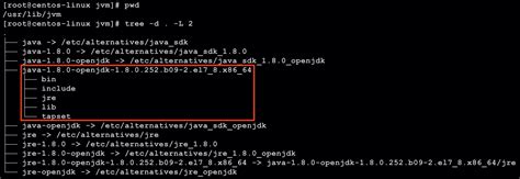 linux虚拟机环境初始化设置 linux虚拟机恢复原始设置 csdn博客