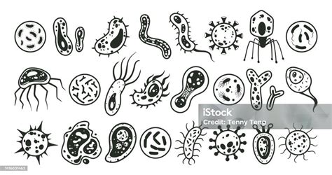 박테리아와 미생물 만화 세균 미생물 실루엣 만화 생물학적 유기체 바이러스 박테리아 곰팡이 플랫 벡터 일러스트 레이 션 세트 미생물 수집 독감바이러스에 대한 스톡 벡터 아트
