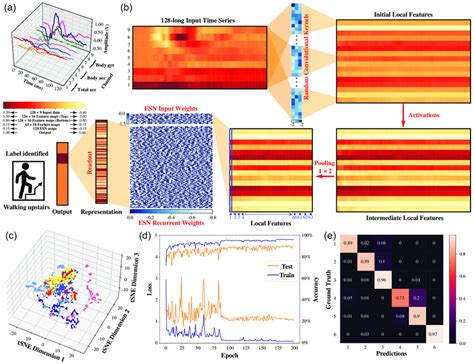 Classification Of The Human Activity Recognition Using Smartphones