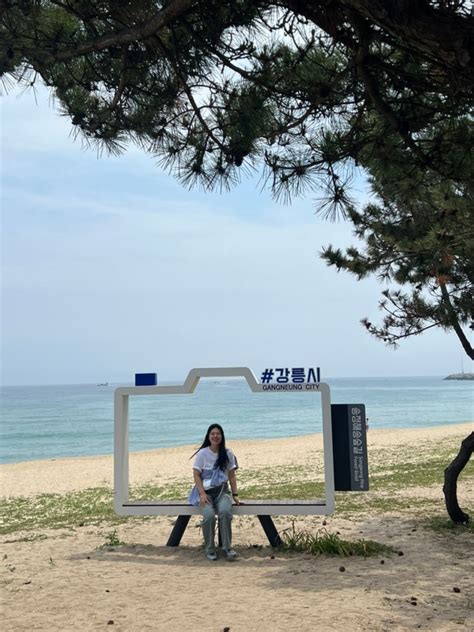 강릉 당일치기 여행 기록🌊 네이버 블로그