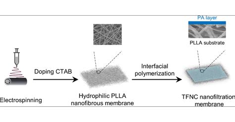 High Permeance Polyamide Nanofiltration Membranes Based On Polyl