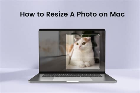How To Resize A Photo On Mac A Complete Guide Fotor