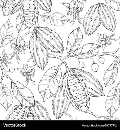 Cocoa Outline Seamless Pattern Royalty Free Vector Image