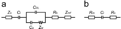 A Equivalent Circuit For The Interface Between A Semiconductor Download Scientific Diagram