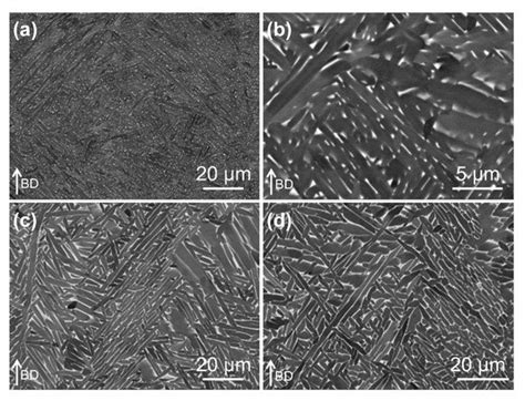 Dislocation Density Of Electron Beam Powder Bed Fusion Ti6al4v Alloys Determined Via Time Of