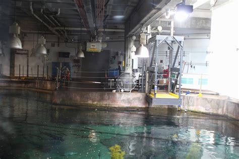 創薬のウラ話 No 185 ファインディング・ドリーの世界へ モントレーベイ水族館