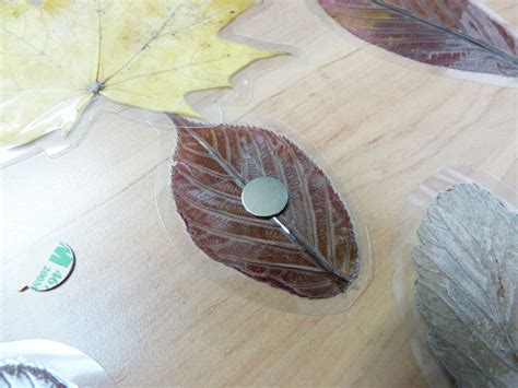 Autumn Leaves And Fridge Magnets Guys Magnets Blog