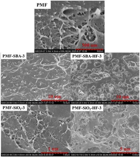 The Cross Section Morphology Of The Different Composite Membranes