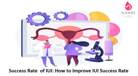 Intrauterine Insemination Success Rate