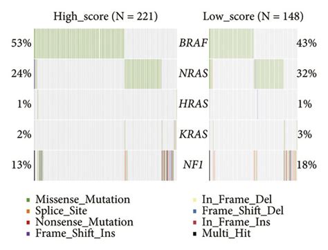 Mutational Landscape Between High And Low Ferroptosis Related Genes Download Scientific Diagram