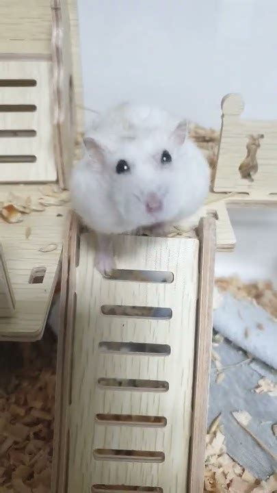 배터지게 먹고 아파트 Youtube