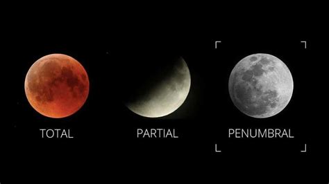 Penumbral Lunar Eclipse Full Beaver Moon Partial Lunar Eclipse 2021