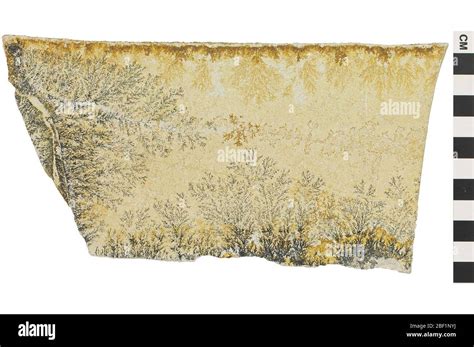 Sedimentary Rock Dendrites This Object Is Part Of The Education And