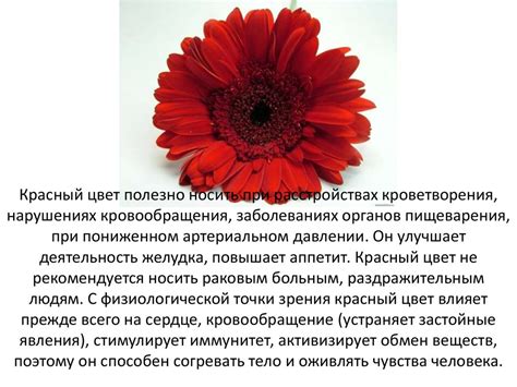 Цветотерапия (хромотерапия) - презентация онлайн