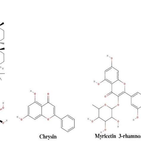 2 D Representation Of Five Ligands That Show Maximum Binding Affinity