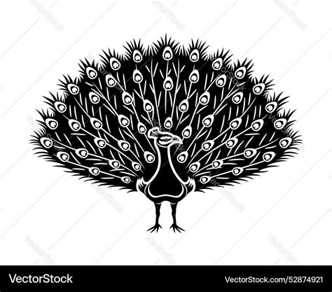 Icon Beautiful Bird Peacock Royalty Free Vector Image