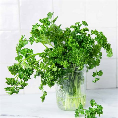 How To Store Parsley Best Ways To Keep It Fresh Chopnotch