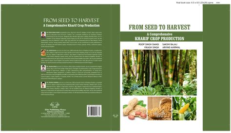 pdf production technology of castor