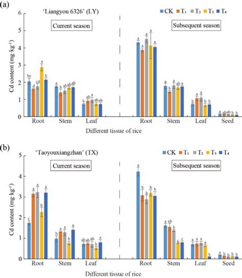 Exogenous Selenium Mitigates Cadmium Uptake And Accumulation In Two Rice Oryza Sativa L