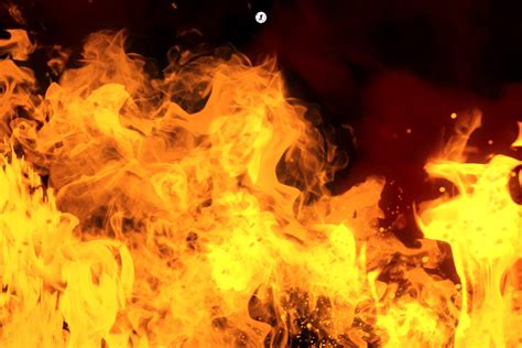 fire procreate brushes design cuts