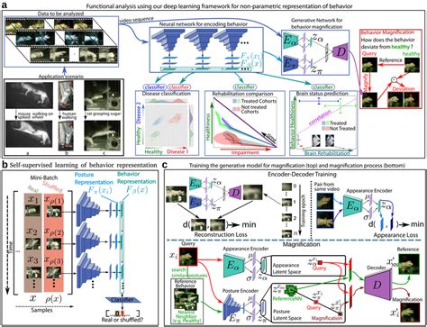 Unsupervised Behavior Analysis And Magnification Download Scientific Diagram