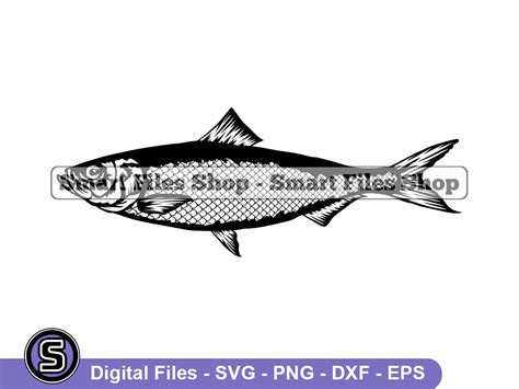 Skipjack Shad Svg Fish Svg Fishing Svg Fishing Dxf Fishing Etsy Denmark