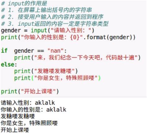 学习笔记 Python基础 程序结构顺序分支循环 美滋滋的胖虎 博客园