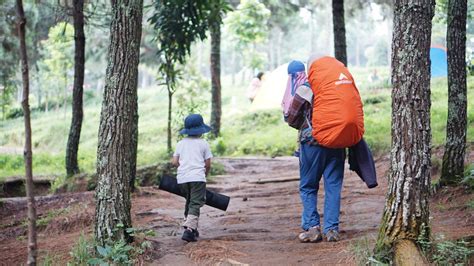 Berencana Membawa Anak ke Gunung? Perhatikan Hal Ini
