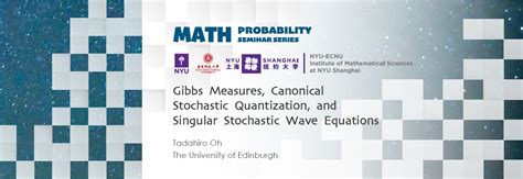 Gibbs Measures Canonical Stochastic Quantization And Singular