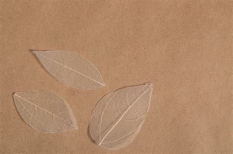 Exporturile și Importurile Ue De Produse Reciclabile Hârtia Produsul