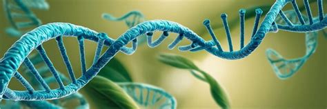 na helix enlarged model in bright colors and spots genetic engineering