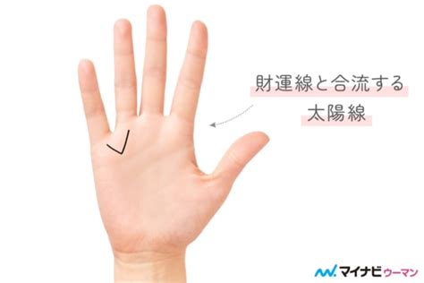 太陽線とは？ 長さや太さ・種類別手相の見方【手相占い】（2ページ目）｜「マイナビウーマン」