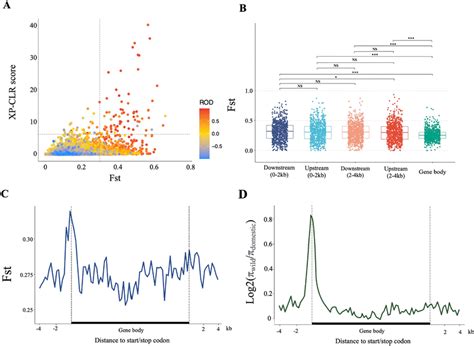 Characterization Of Selection Forces In Different Structures Of Genes