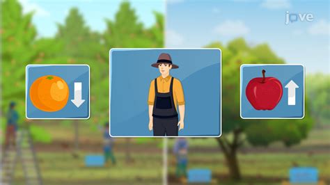 Video Output Efficiency Achieving Output Efficiency Concept