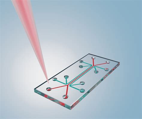 Mapping The Microbiome Dr Abidemi Junaid On The Groundbreaking Vagina Chip