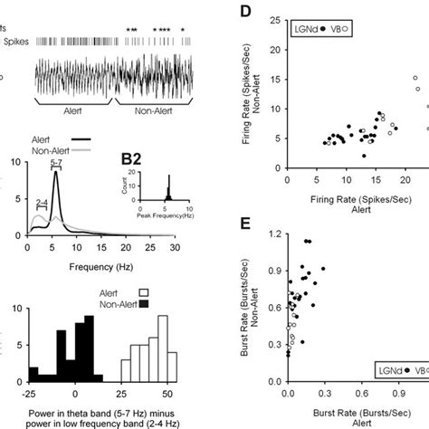 Spontaneous Firing Rates And Burst Rates Of Single Thalamic Neurons