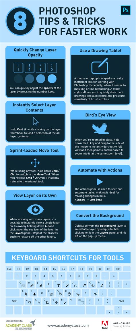 Infographic Tutorials Photoshop Beginner