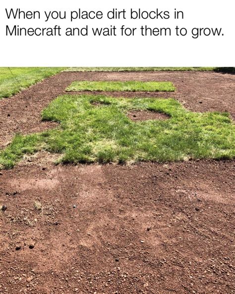 Grass Meme