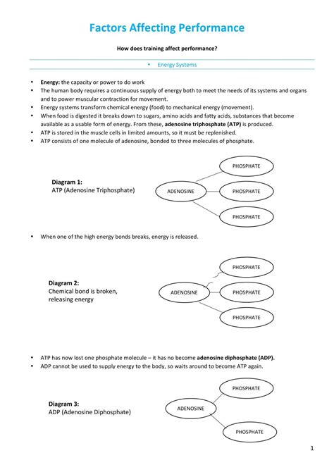 Full Course Notes Pdhpe Year 12 Personal Development Health And Physical Education Year 12
