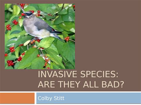 invasive species conservation biology lecture slides biol 4015