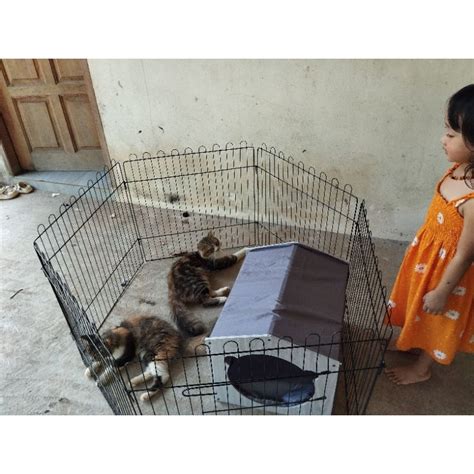 Jual Pagar Kucing Kandang Pagar Doggy Pagar Hewan Turtle Shopee Indonesia