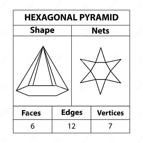 Hexagonal Pyramid Nets Faces Edges And Vertices Geometric Figures