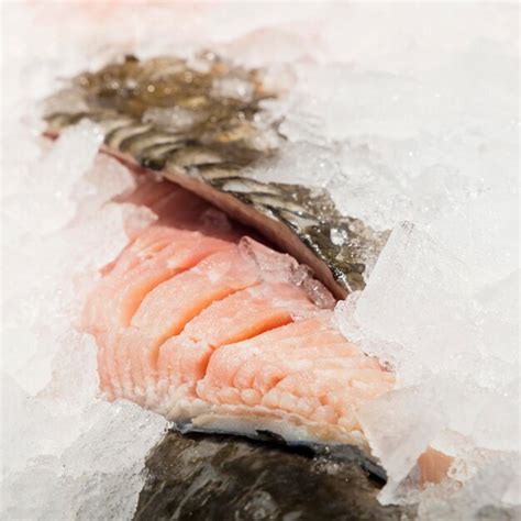 Premium Photo High Angle View Of Cod Fish On Ice For Sale At Market