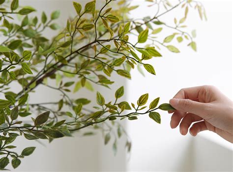 멜로 그린 나무가지 인조 조화 생화같은 실내 조경 인테리어 넝쿨 행잉