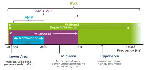 Voiceage Evs Evs Standard