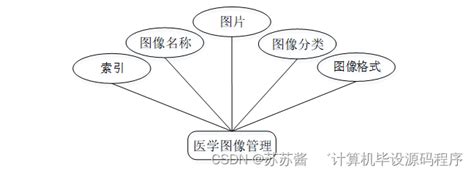 【附源码】java计算机毕业设计医学图像管理平台（程序 lw 部署） 医学图像标注 源码 csdn博客